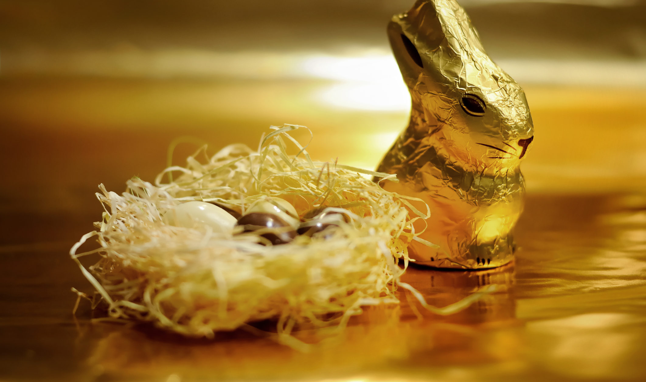Lindt vs Lidl – Battle of the bunnies