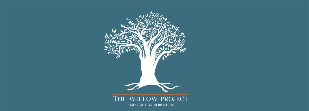 The Willow Project Film Screening and Q&A