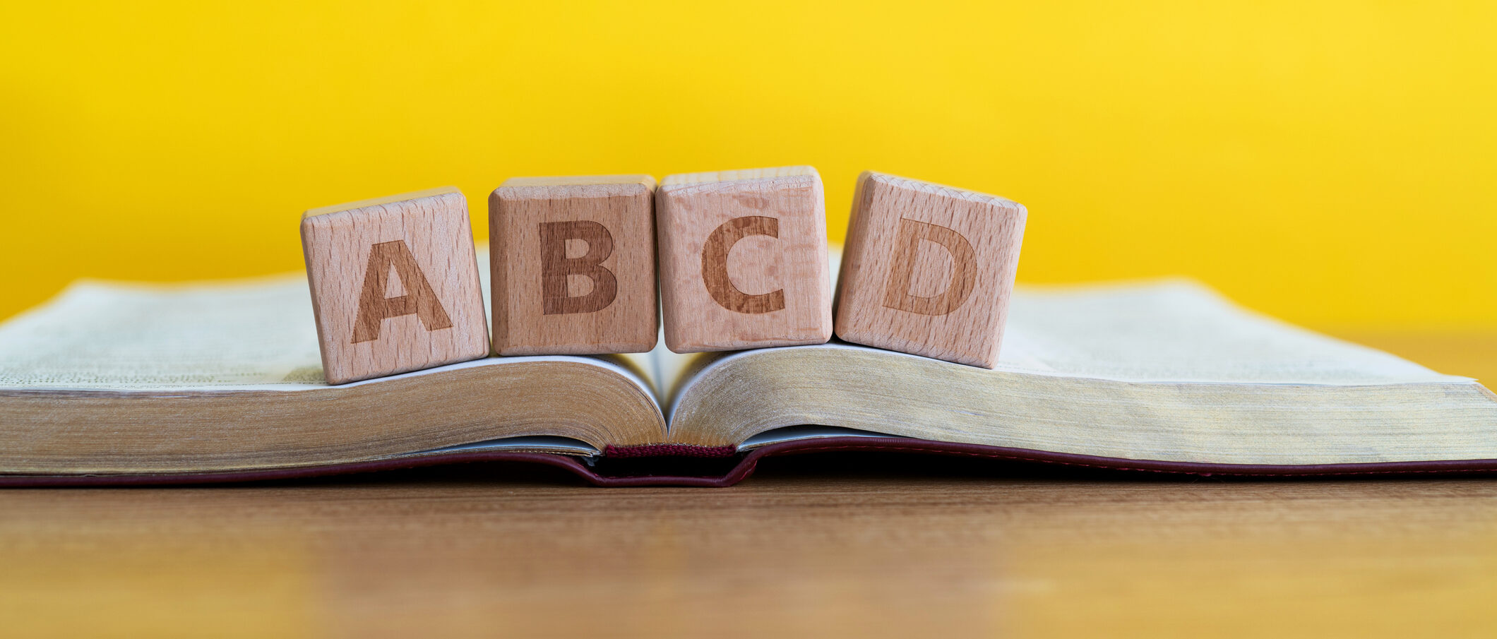 Geldards’ SEN glossary 2025